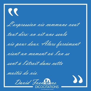 L'expression vie commune veut tout dire: on vit une seule vie ...