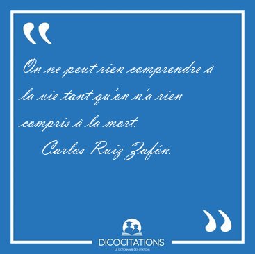 On ne peut rien comprendre à la vie tant qu'on n'a rien compris ...